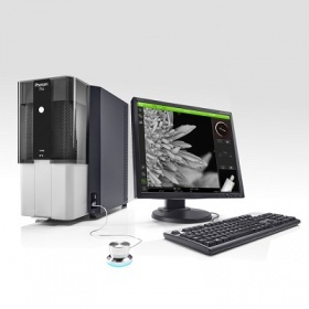 飞纳高分辨率专业版 Phenom Pro 电镜_参数_价格-仪器信息网