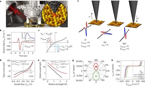 美国RHK Technology公司首套 太赫兹近场显微用Beetle STM系统在国内成功安装_QUANTUM量子科学仪器贸易（北京）有限公司