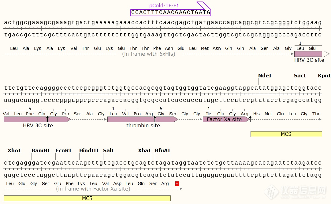 pCold TF大肠表达质粒|2UG|QCP0076-上海钦诚生物科技有限公司