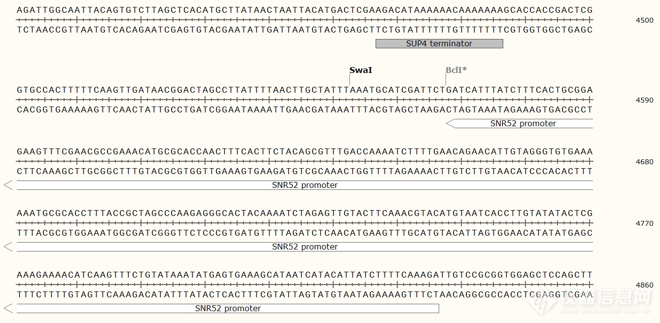 pML104酵母编辑质粒|2UG|QCP1661-上海钦诚生物科技有限公司