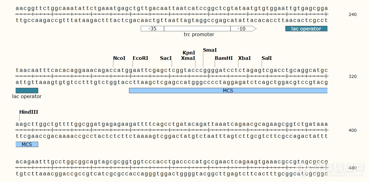 pTrc99a大肠表达质粒_价格_上海钦诚生物科技有限公司