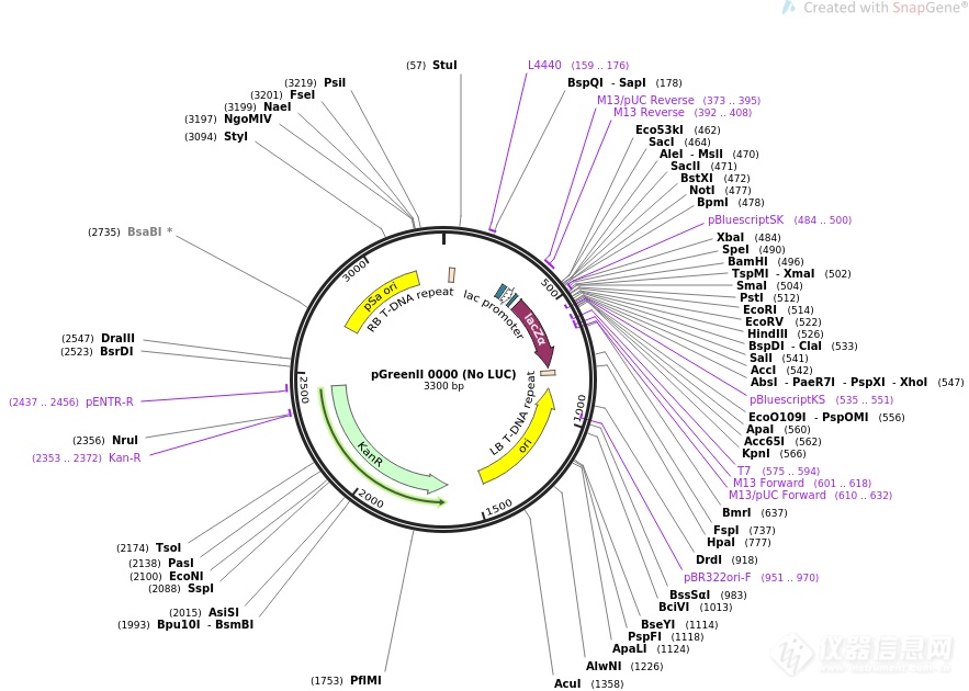pGreen II-0800-Luc荧光素酶质粒|2UG|QCP0464-上海钦诚生物科技有限公司