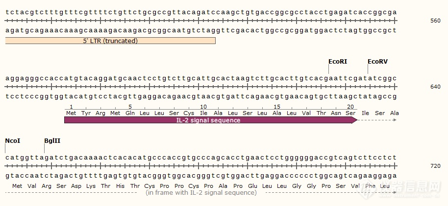 pFUSE-hIgG1e1-Fc2哺乳抗体质粒|2UG|QCP0170-上海钦诚生物科技有限公司