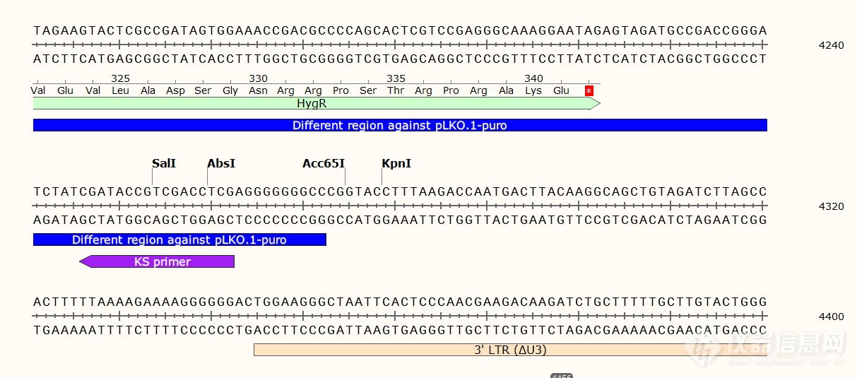 pLKO.1-Hygro慢病毒干扰质粒|2UG|QCP0702-上海钦诚生物科技有限公司