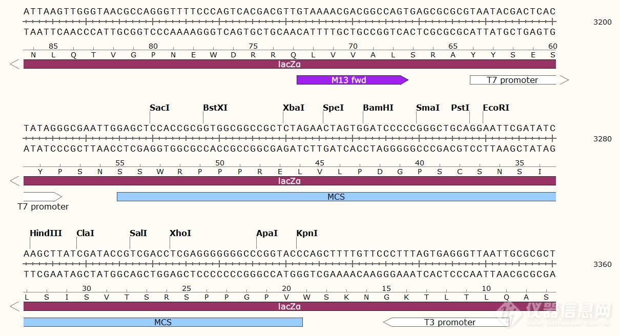 pBBR1MCS-5广宿主表达质粒|2UG|QCP0309-上海钦诚生物科技有限公司