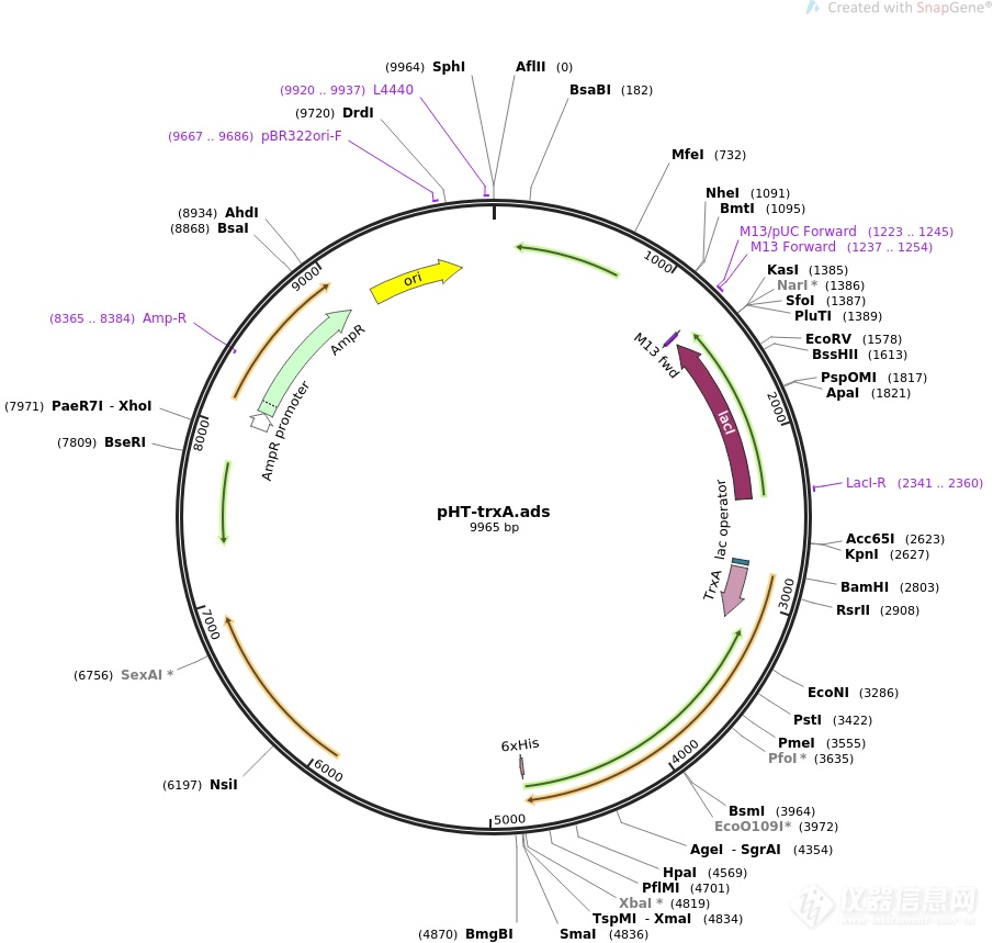 pHT43-His枯草分泌质粒|2UG|QCP0704-上海钦诚生物科技有限公司