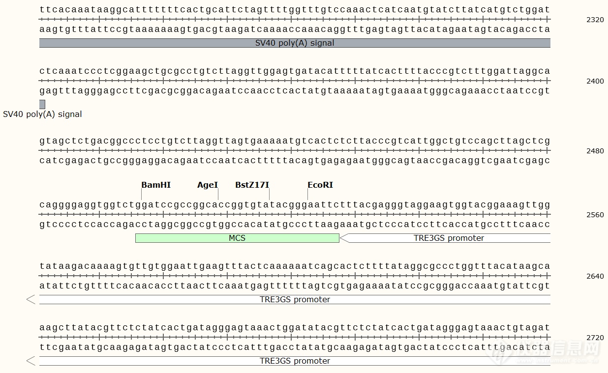 pLVX-TetOne-Puro慢病毒四环素激活表达质粒|2UG|QCP1686-上海钦诚生物科技有限公司