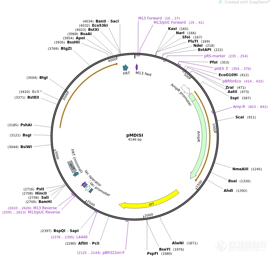 pmd18-t质粒图谱-千图网