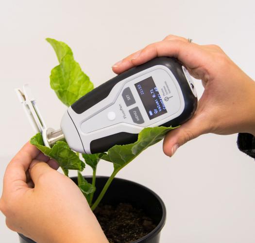 FluorPen手持式植物叶绿素荧光仪_参数_价格-仪器信息网