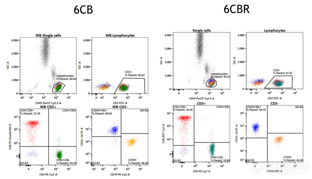 单激光+AI分析，史上最简单的TBNK检测_Cytek Biosciences