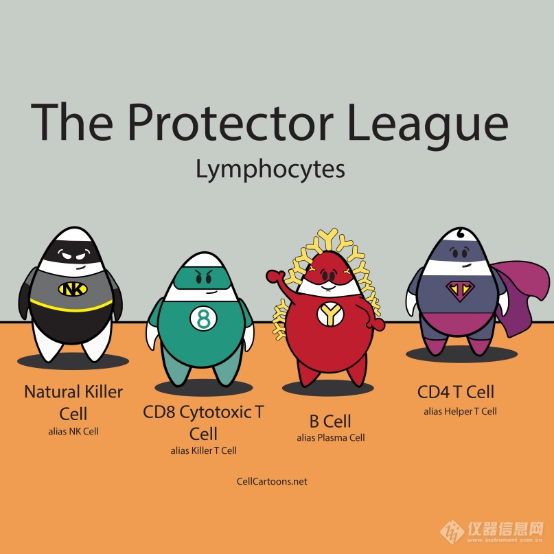 单激光+AI分析，史上最简单的TBNK检测_Cytek Biosciences
