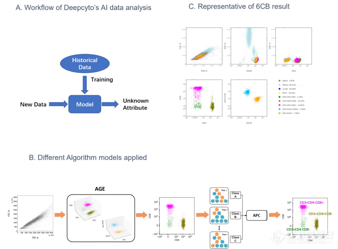 单激光+AI分析，史上最简单的TBNK检测_Cytek Biosciences