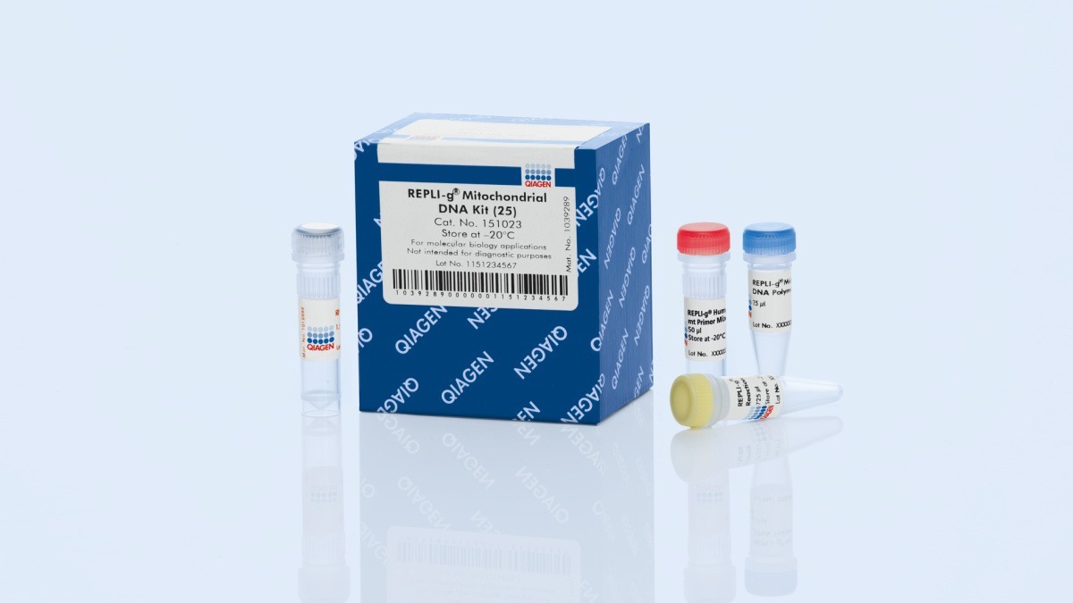 QIAGEN QIAseq miRNA Library Kit|96次/盒|331505-凯杰企业管理（上海）有限公司