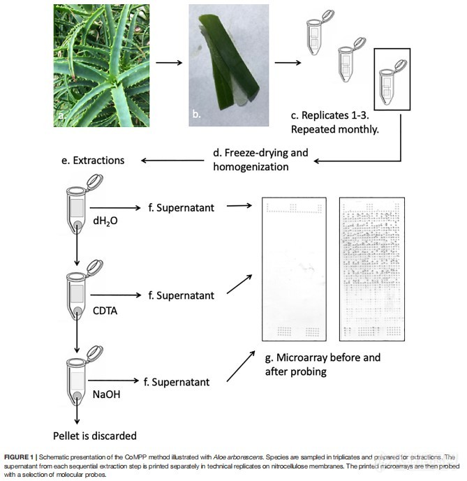 ArrayJet芯片点样仪推动植物多糖组分研究_环亚生物科技有限公司