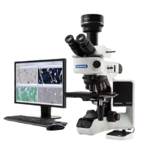 OLYMPUS奥林巴斯偏光显微镜BX53-P_参数_价格-仪器信息网