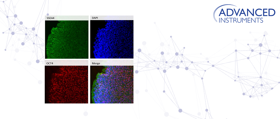 Advanced Instruments_安达望（advanced Instruments）_首页