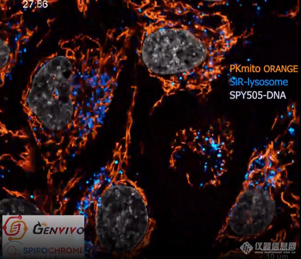 PKMITO®线粒体荧光染料|25/5nmol/支|PKMR-1/PKMO-1/PKMDR-1-上海宇北医疗器械有限公司