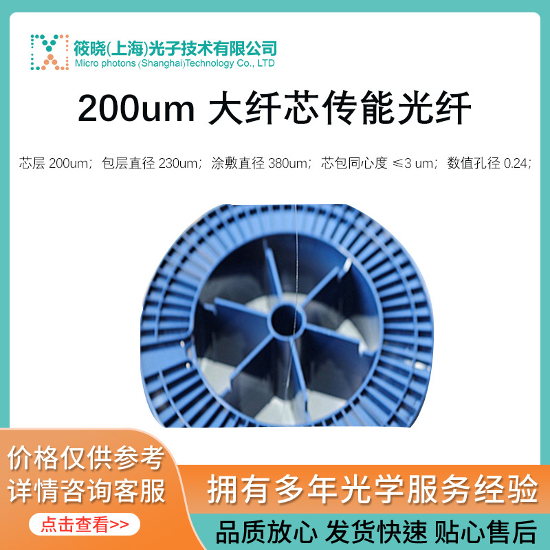 200um 大纤芯传能光纤_参数_价格-仪器信息网