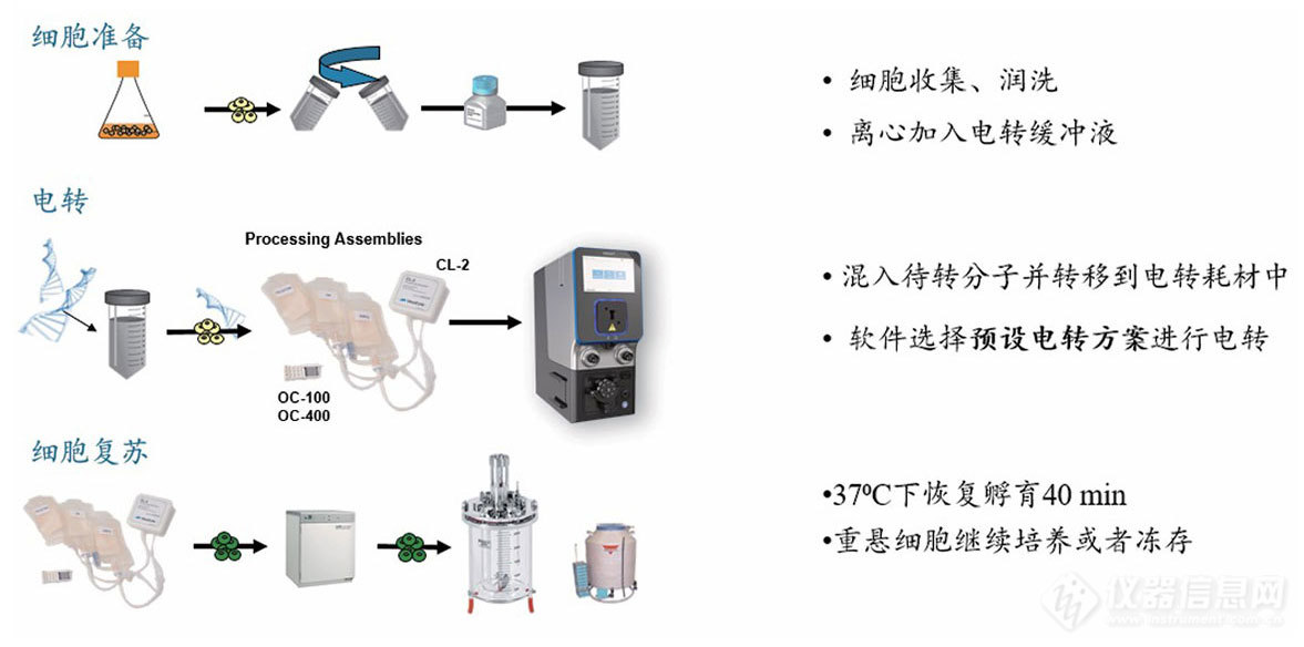 MaxCyte ExPERT 流式电穿孔转染系统ATx, STx, GTx, VLx_报价 - 上海昊扩科学器材有限公司