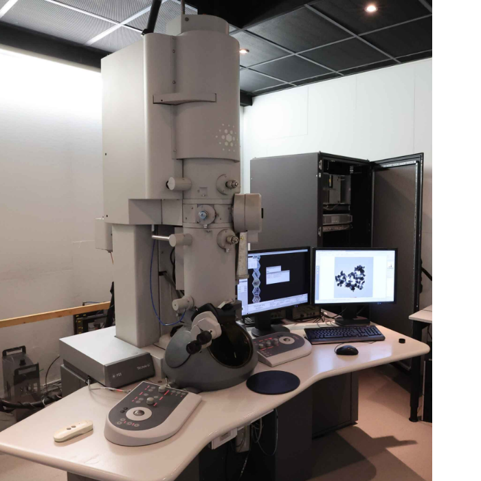 二手FEI透射电镜，二手TEM，二手 FEI TEM F20，二手FEI F20透射电镜_参数_价格-仪器信息网