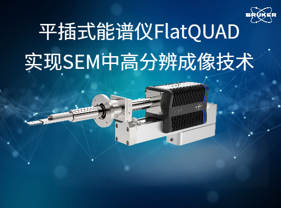 【Hitachi】日立新型高分辨场发射扫描电镜SU8020_参数_价格-仪器信息网