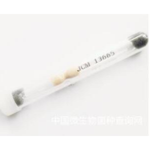 北京百欧博伟生物技术有限公司_biobw_首页