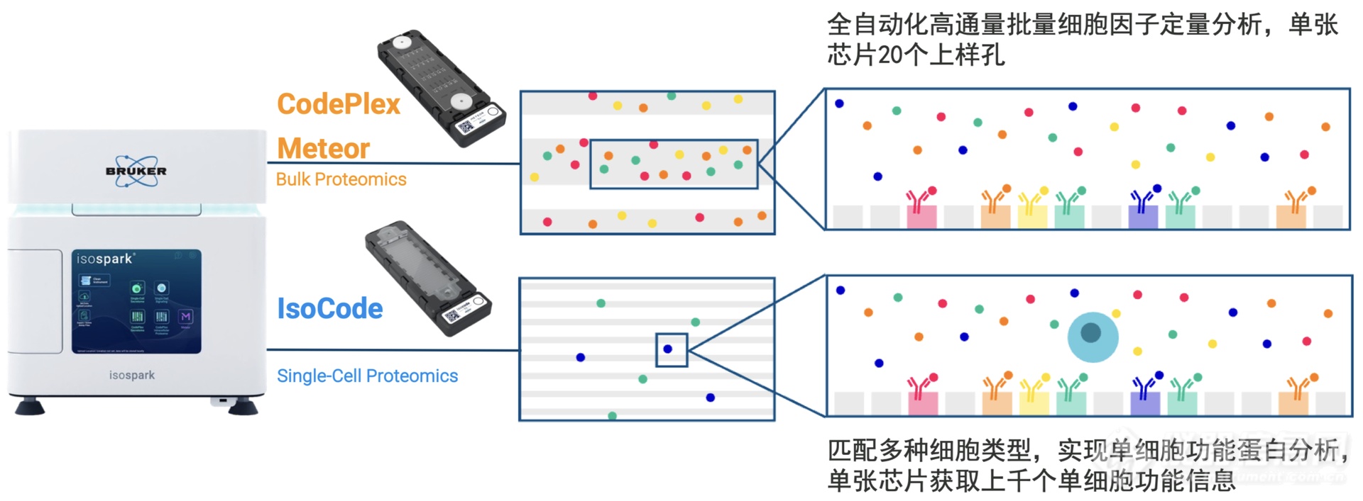 IsoSpark全自动单细胞功能蛋白质组学分析系统_参数_价格-仪器信息网