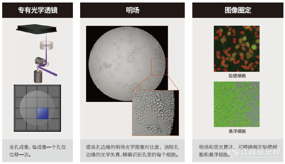 瑞孚迪 Revvity Celigo 全视野细胞扫描分析仪_报价 - 瑞孚迪Revvity