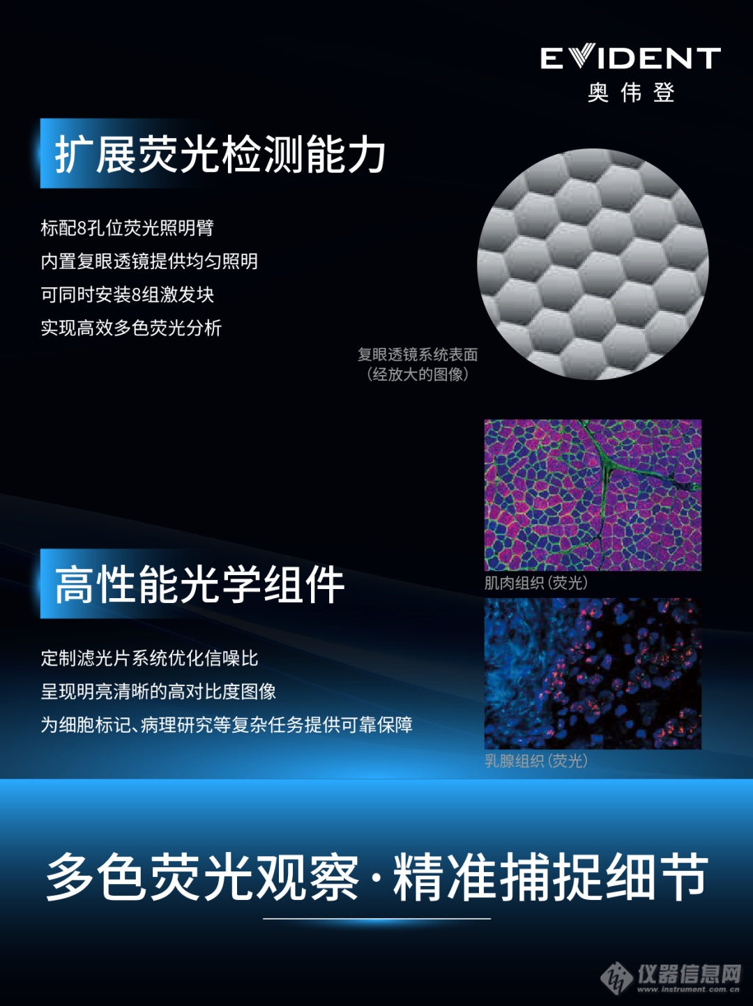 奥伟登BX53F2C超宽视界启航，智启显微观察新篇_仪景通光学科技（上海）有限公司