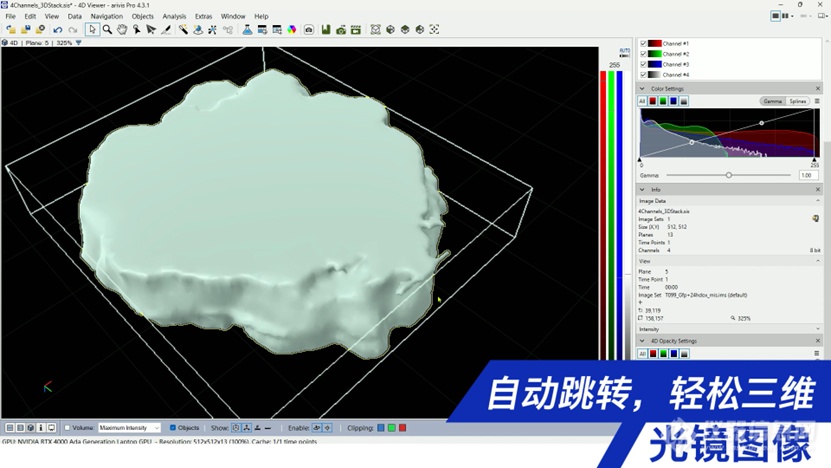 免费体验 | 蔡司 arivis Pro 重磅更新 4.3版本，AI创新再突破！_卡尔蔡司(上海)管理有限公司
