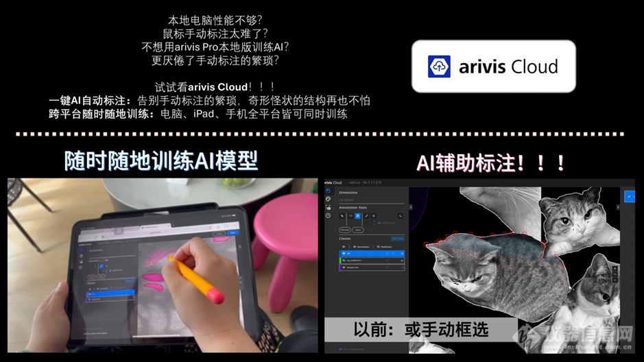 免费体验 | 蔡司 arivis Pro 重磅更新 4.3版本，AI创新再突破！_卡尔蔡司(上海)管理有限公司