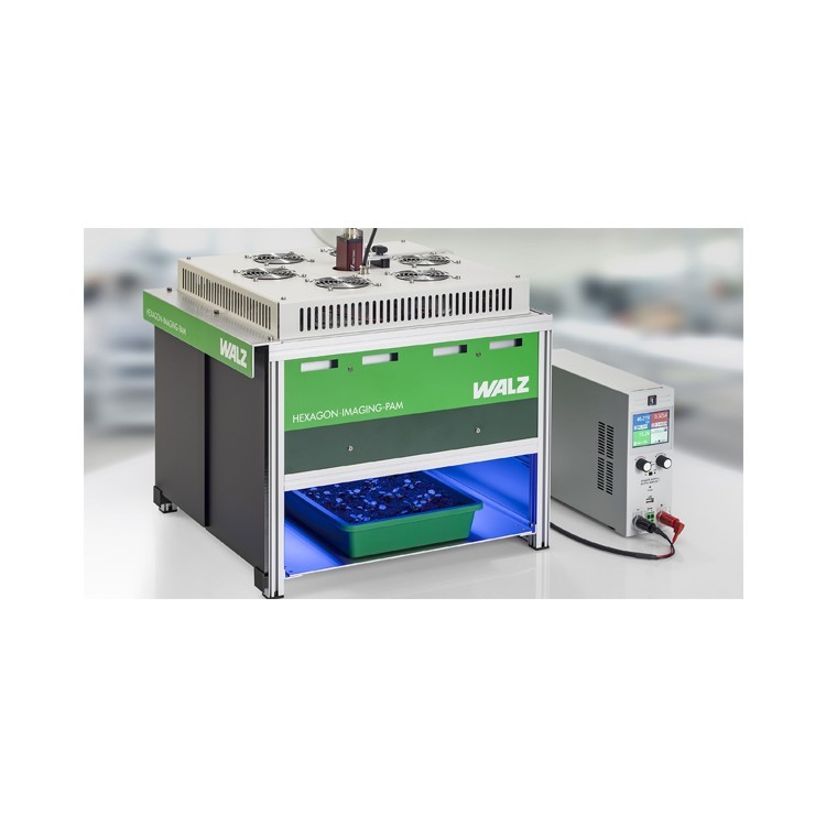 德国WALZ HEXAGON-IMAGING-PAM叶绿素荧光系统_参数_价格-仪器信息网