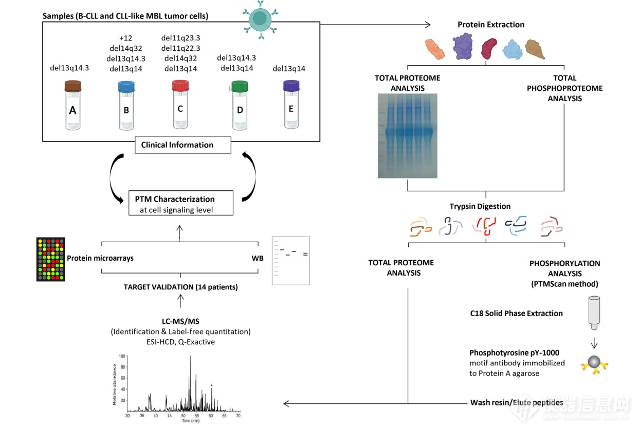 ArrayJet生物芯片点样仪助力慢性淋巴细胞白血病的蛋白标志物筛选_环亚生物科技有限公司