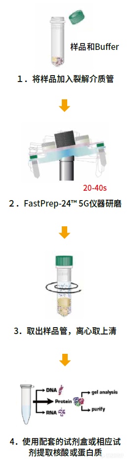 MP FastPrep-24 5G快速样品制备仪 116005500_报价 - MP Biomedicals (Shanghai) Co ...