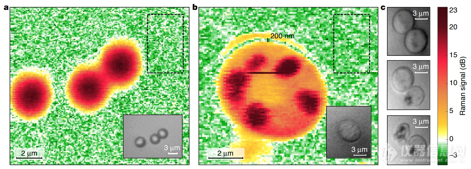 高帧速EMCCD相机Ixon Ultra 888系列：量子增强成像中的高分辨率检测核心设备_先锋科技（香港）股份有限公司