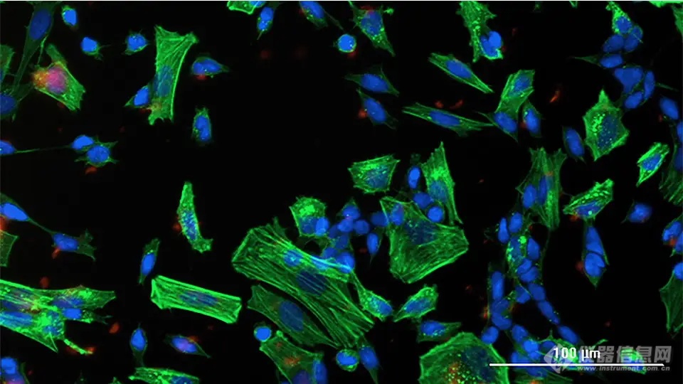 安捷伦BioTek Cytation5 细胞成像多功能微孔板检测系统_报价 - 安捷伦科技(中国)有限公司