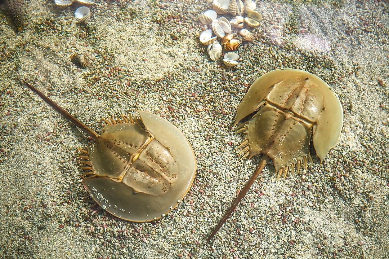 Sievers分析仪（威立雅）_Sievers分析仪_首页