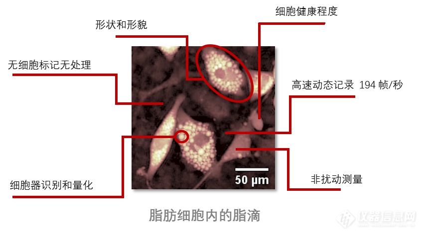 Lyncee Tec瑞士Lyncée tec生物全息4D显微镜DHM-T1000/DHM-T2100_报价 - 上海艾尧科学仪器有限公司
