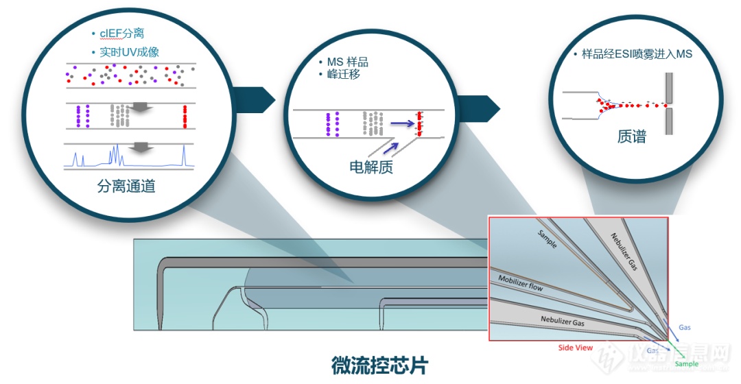 Intabio ZT-ZenoTOF 7600联用系统：快速比较抗体药物不同工艺的电荷异质性差异_SCIEX中国