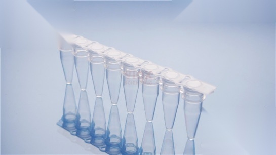 V1082-C 荧光定量pcr8联管价格_参数_价格-仪器信息网
