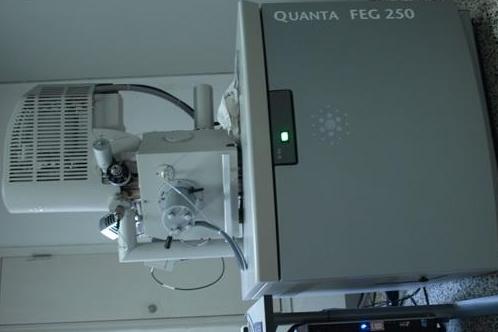 场发射扫描电镜热场Quanta 250(SEM1)FEI Quanta FEG 250 - 典型用户 - 仪器信息网