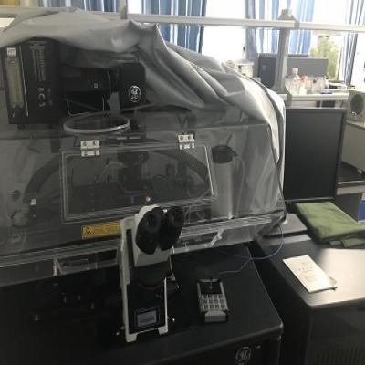 3D高分辨高速活细胞成像系统DeltaVision Elite - 典型用户 - 仪器信息网