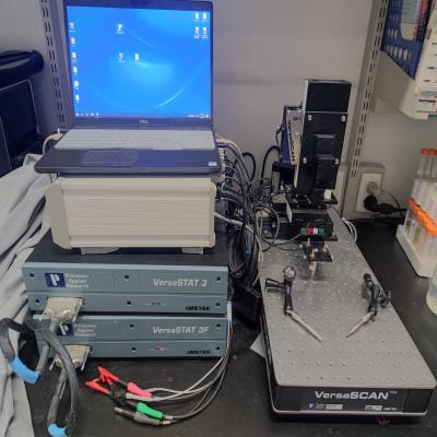 扫描电化学显微镜系统VersaSCAN VS-SECM-SYS - 典型用户 - 仪器信息网