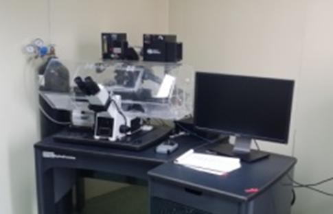 高分辨率活细胞成像系统DeltaVision Elite - 典型用户 - 仪器信息网